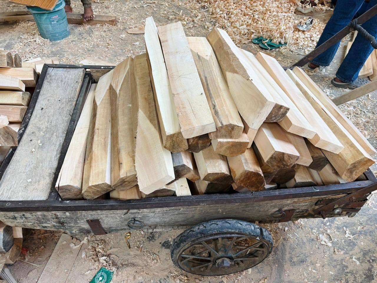 Kashmir grows willow, other regions reap profits: A hidden economic ...