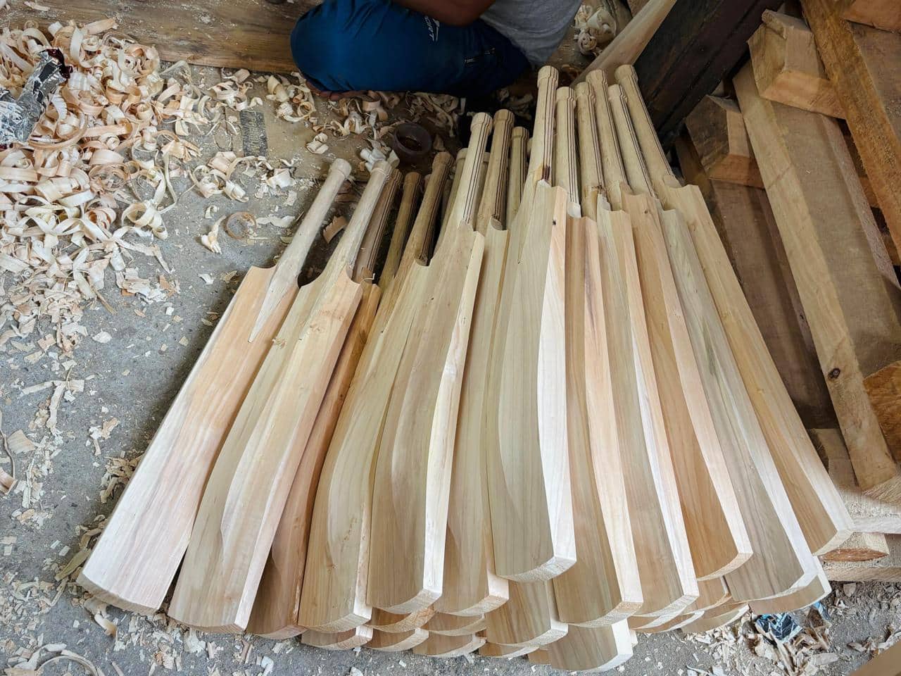 Kashmir grows willow, other regions reap profits: A hidden economic ...