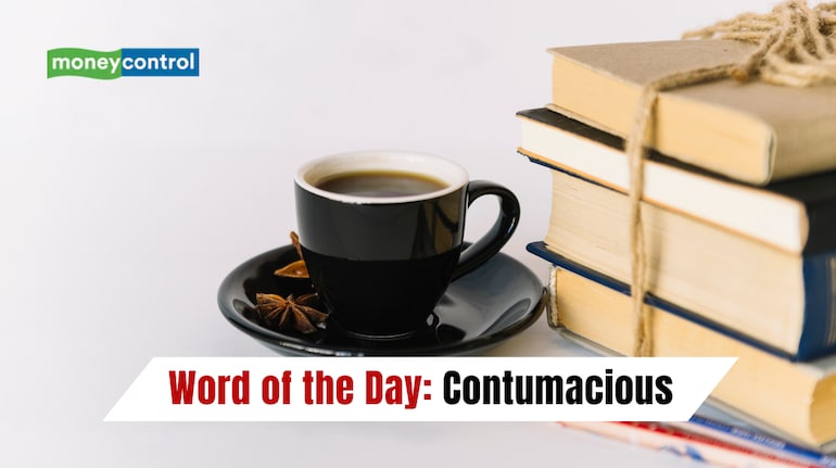 Word of the Day: Contumacious