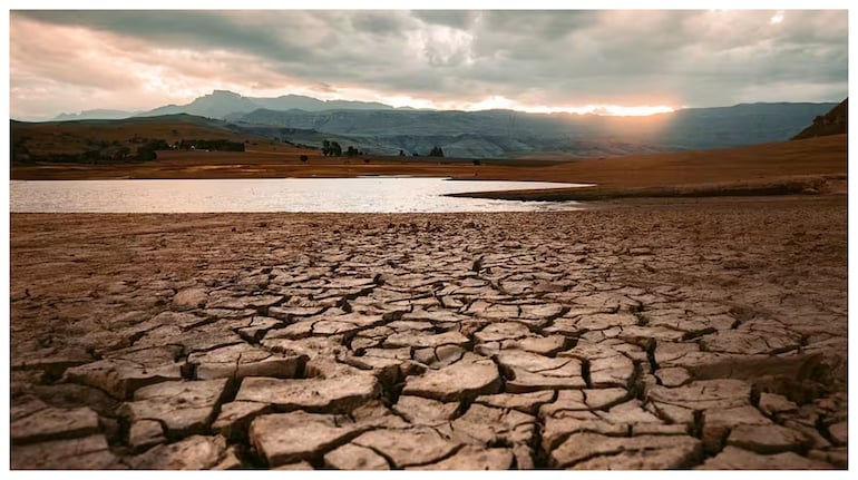 El Nino may become strong by end September, but no cause for panic: IMD DG