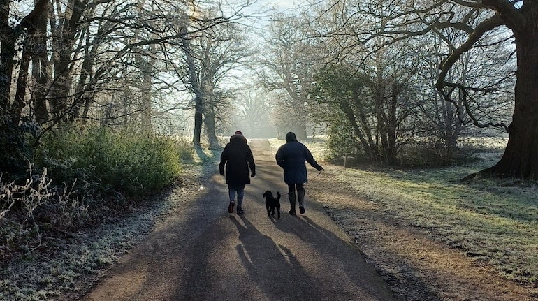 Longevity doctor shares 5 morning habits he follows to regulate ...