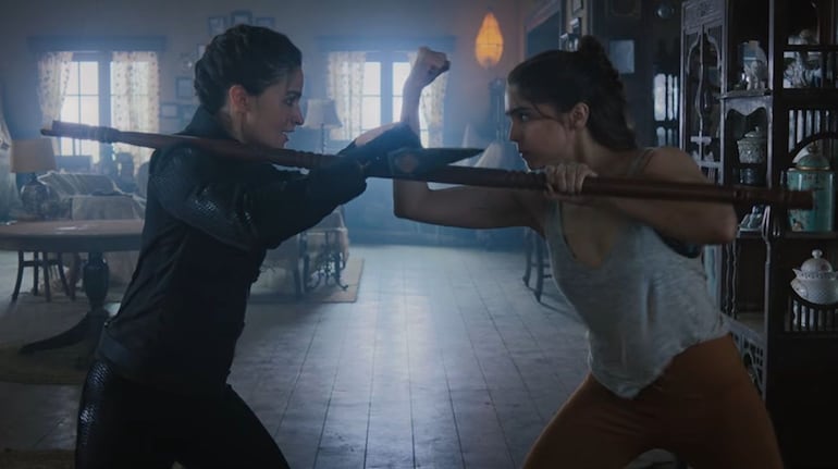 ‘Alia Bhatt's work ethic is absolutely incredible’: Alpha action ...