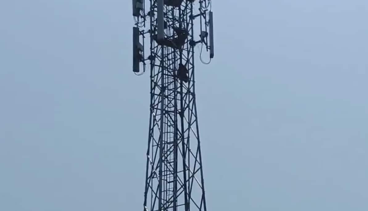 Bokaro girl climbs 100-ft mobile tower, demands boyfriend's release ...