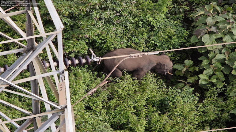 KPTCL cuts transmission outages by 85% using drones for power line ...