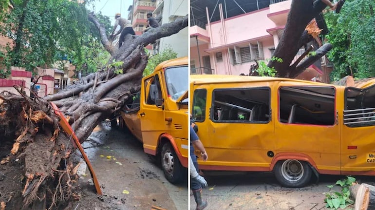 Mumbai: Student killed, 10 hurt after tree falls on school bus in Chembur